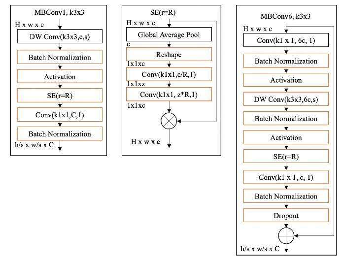 Early detection of breast cancer in mammograms using the lightweight ...