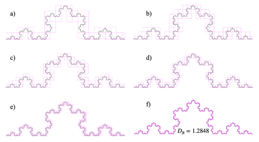 A comparison between “rod counting” and “box counting” methods in ...