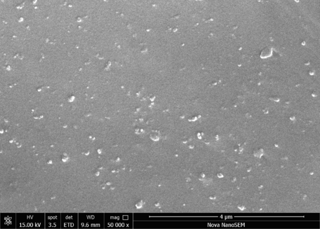Microstructure effect analysis of carbon black-filled rubber composites ...