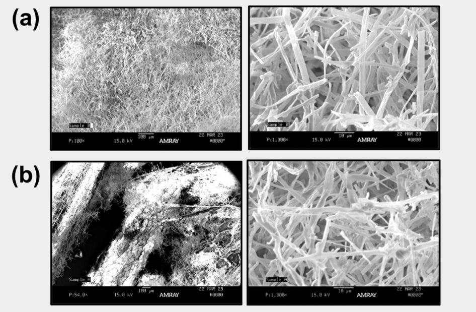 The Creation of Bio-based Mycelium-Substrate Composite Insulation Using ...