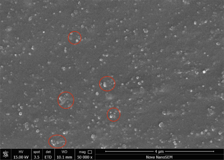 Microstructure effect analysis of carbon black-filled rubber composites ...