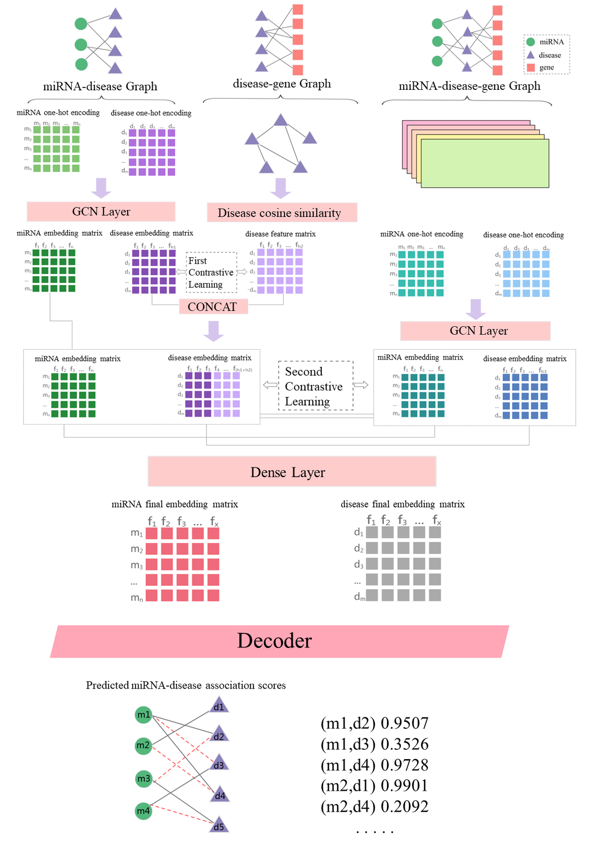 TDCMDA: Tripartite graph-based integrating dual-layer contrast learning into graph convolutional ...
