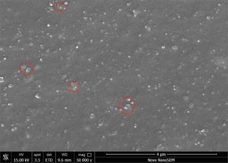 Microstructure effect analysis of carbon black-filled rubber composites ...